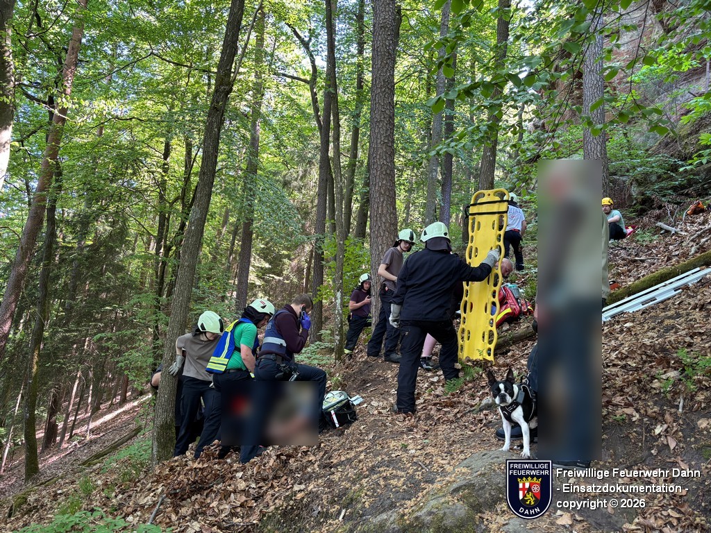 031. Tragehilfe RD Dahn